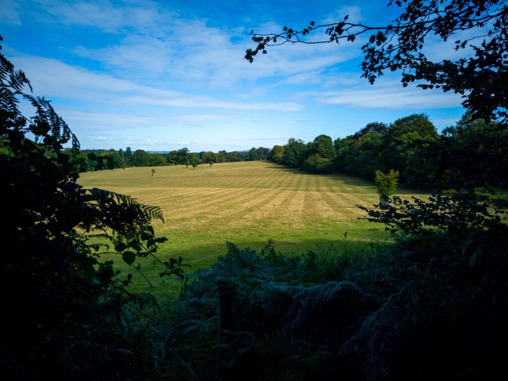 Family-run Country Pub in Kent - Award Winning Food, Sunday Roast ...